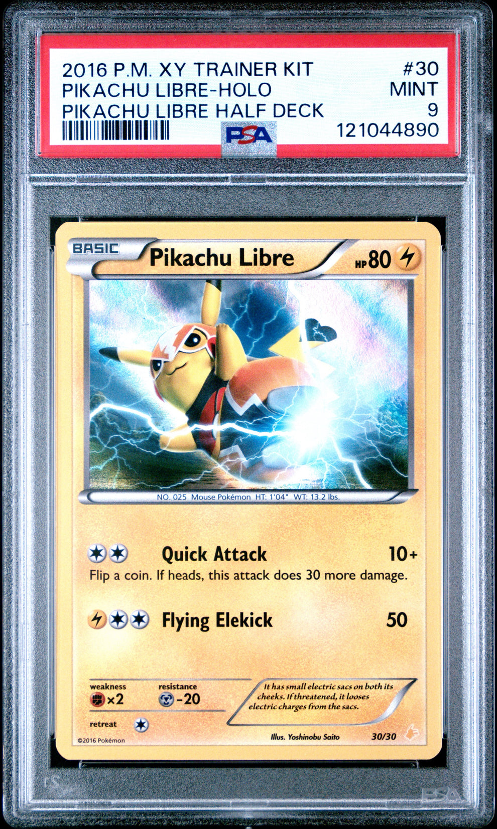Libre Pika 9 – CTR's Workshop